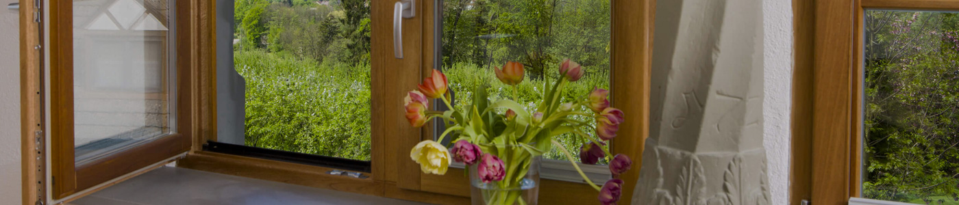 Indianapolis Wood Window Replacement Services | Window Makeover