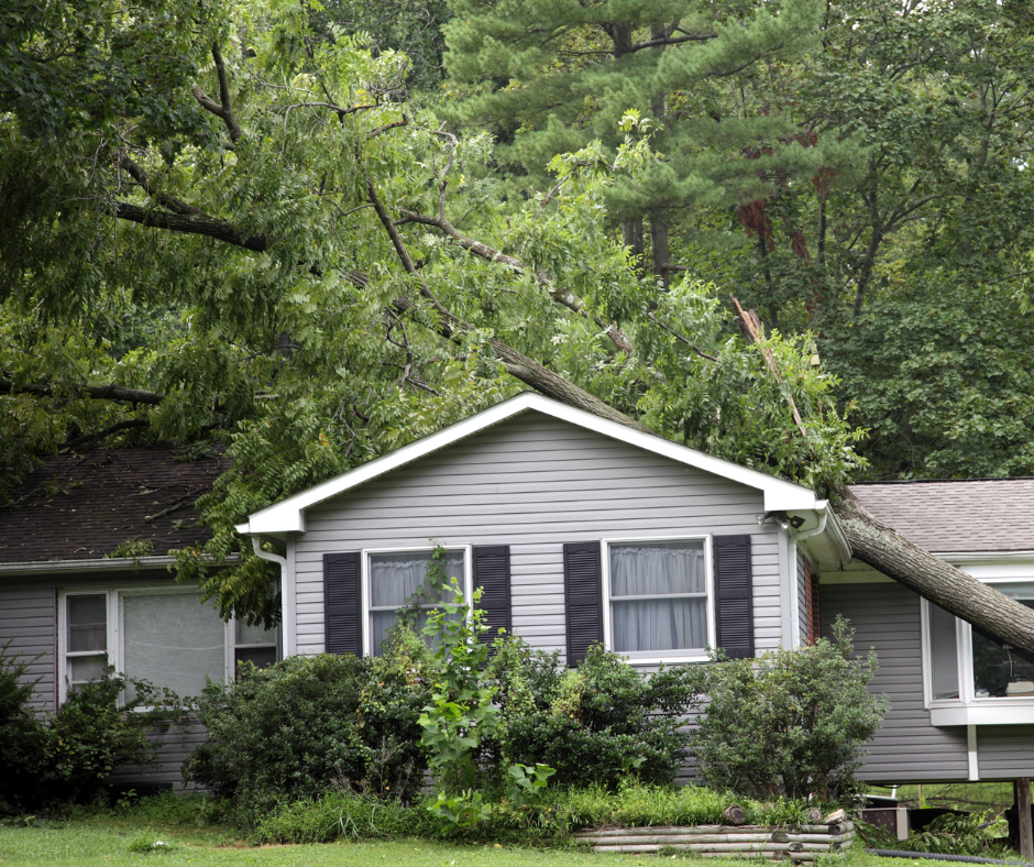 Dealing with Storm Damage - Window Makeover