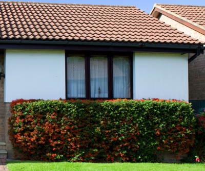 Indianapolis Wood Window Replacement Services | Window Makeover